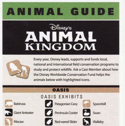 BOA Alert: Disney's Animal Kingdom Animal Guide! – Disney Insights