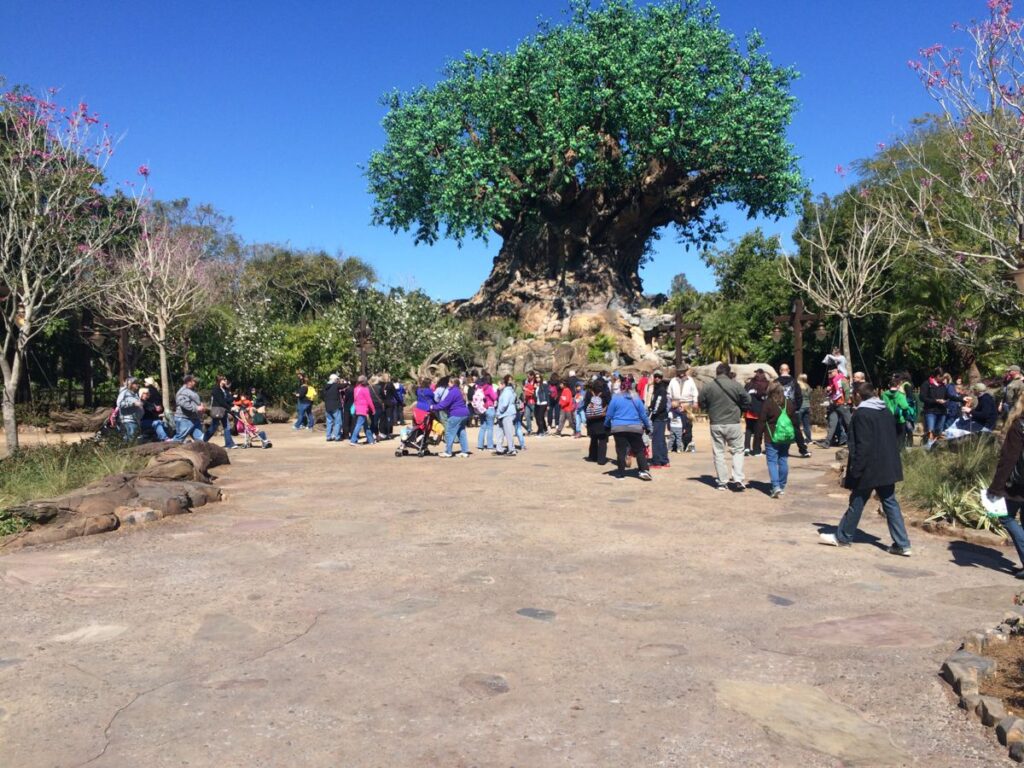 Bust Up Bottlenecks – Disney Insights