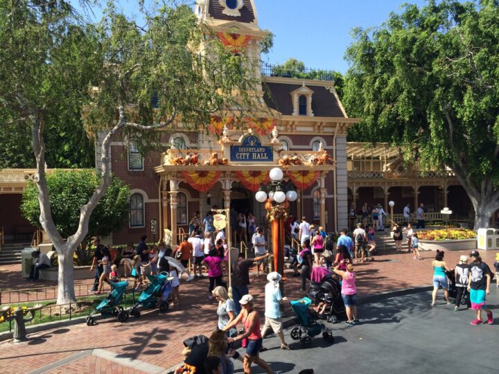 Wowing Guests at Disneyland – Disney Insights