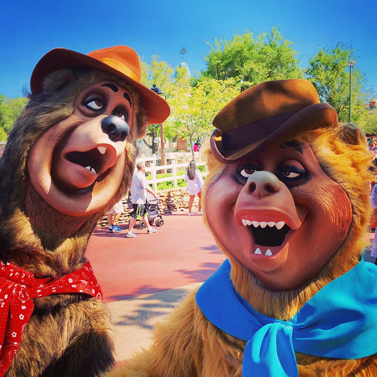Why Love the Country Bear Jamboree – Disney Insights