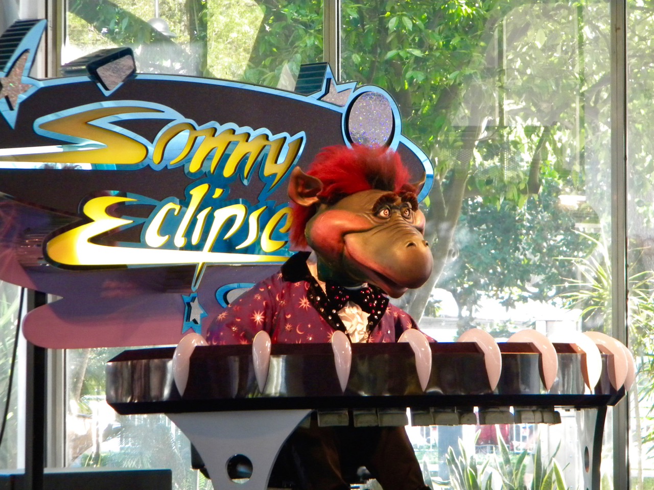 Expectations, Fatigue and Food – Disney Insights