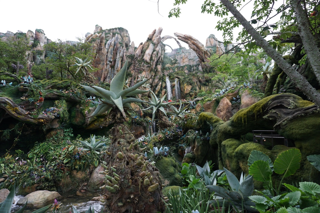 The Languages at Batuu, Pandora & More – Disney Insights