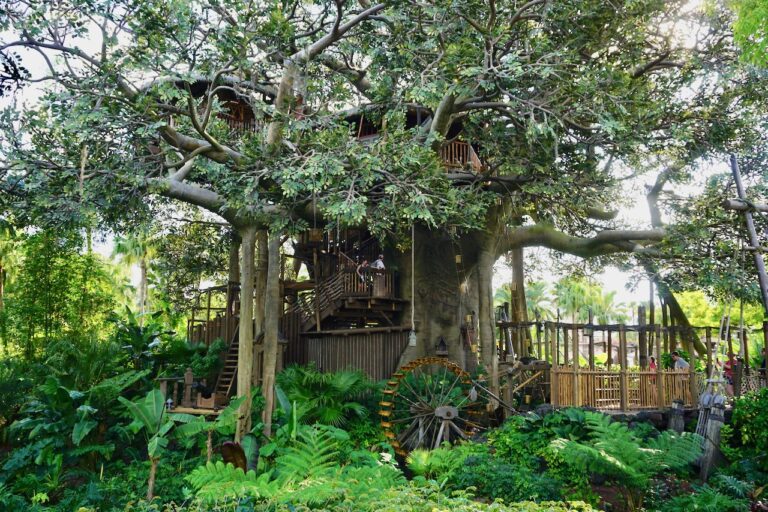 Swiss Family Treehouse: Leadership Lessons – Disney Insights