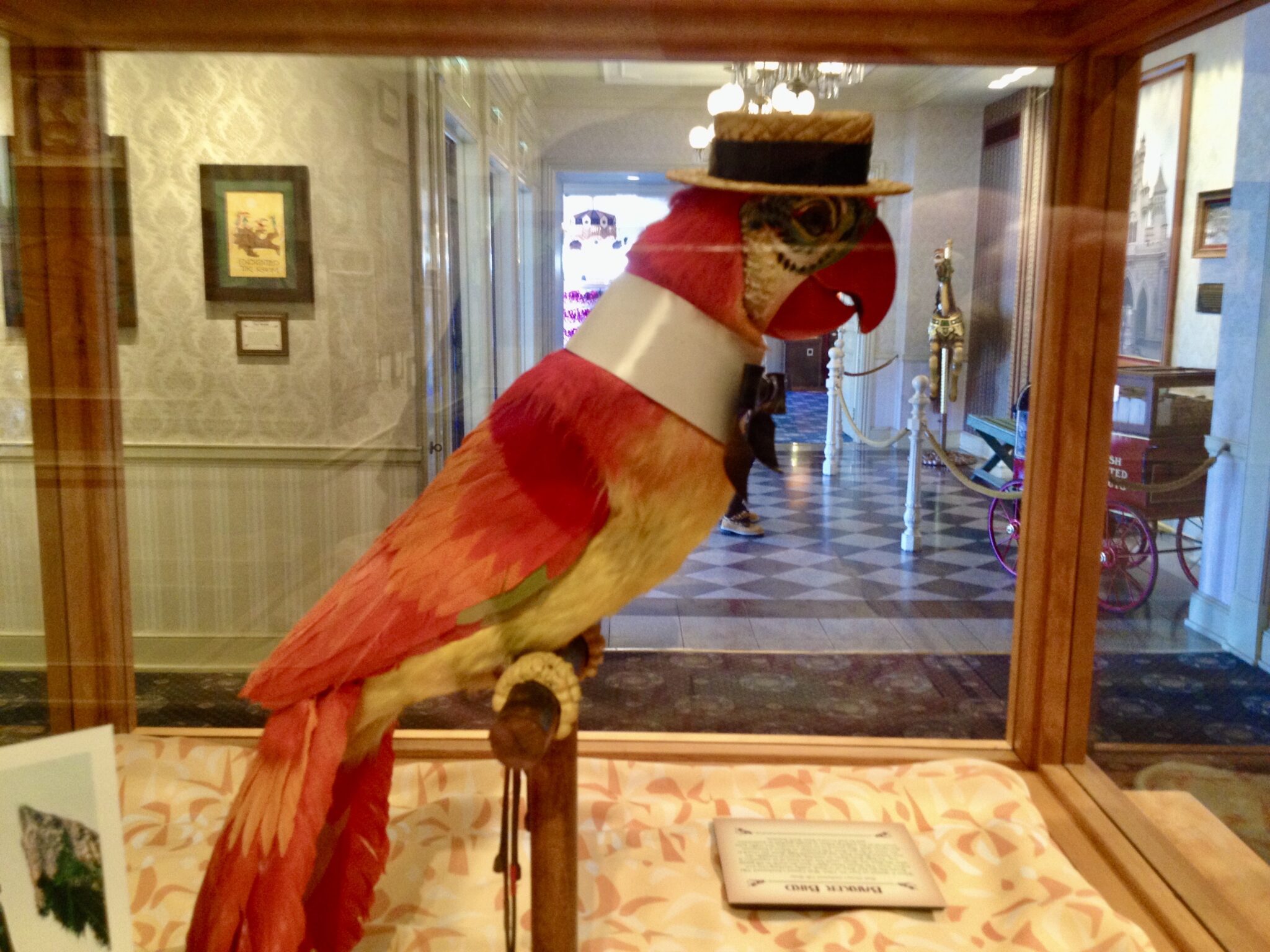 Celebrating 60 Years of Walt Disney’s Enchanted Tiki Room – Disney Insights