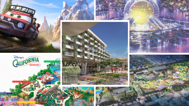 Efficiency: A Disney Key to Excellence – Disney Insights