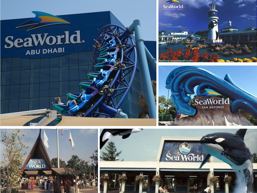 60 Years of SeaWorld – Disney Insights