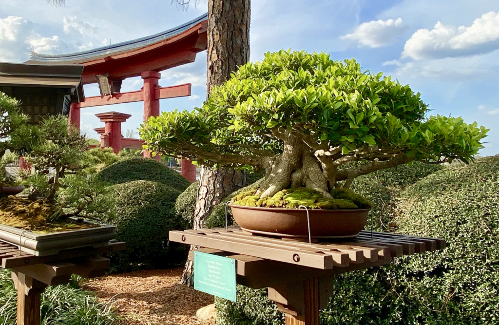 Goodbye Bug’s Life, Hello Zootopia! Plus Why It’s Tough to Be an ...