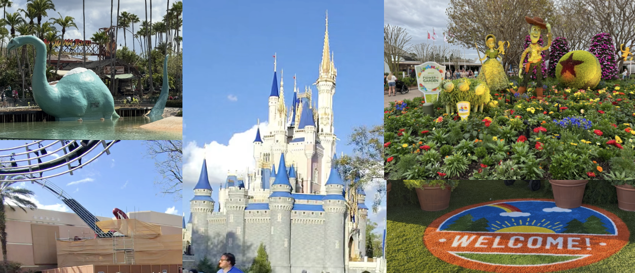 Magic Kingdom & Studio Park Construction Updates, Plus Epcot’s Flower ...